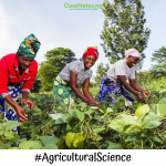 AGRICULTURAL SCIENCE JSS2 – ClassNotes.ng