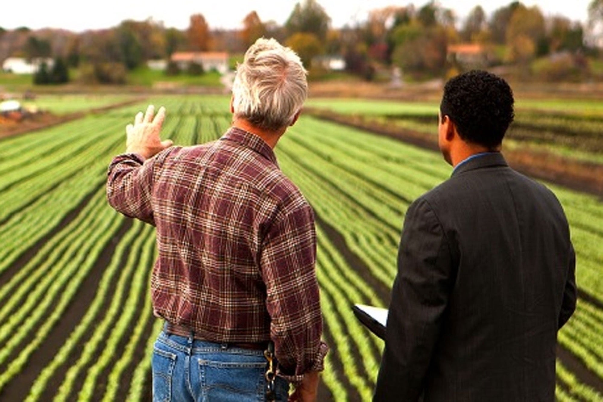 Occupation - ClassNotes.ng