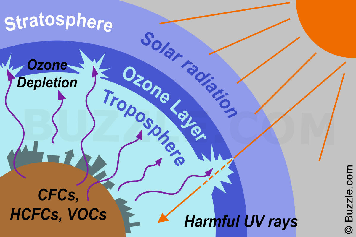 Environmental Hazard - Depletion of the Ozone Layer - Class Notes