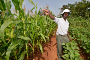 Agricultural Practices II - ClassNotes.ng