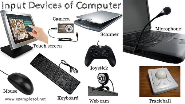 Computer Input Devices ClassNotes ng