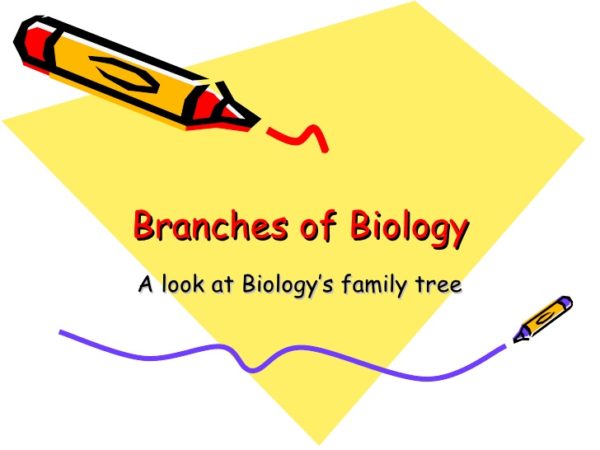 Introduction to Biology - ClassNotes.ng