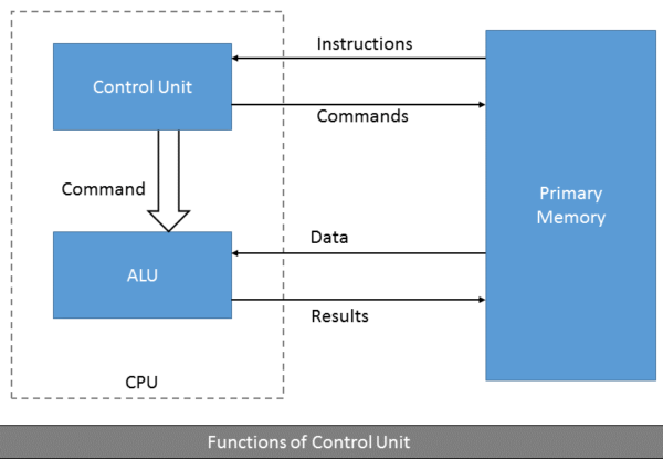 THE SYSTEM UNIT: Internal and External Features, Uses