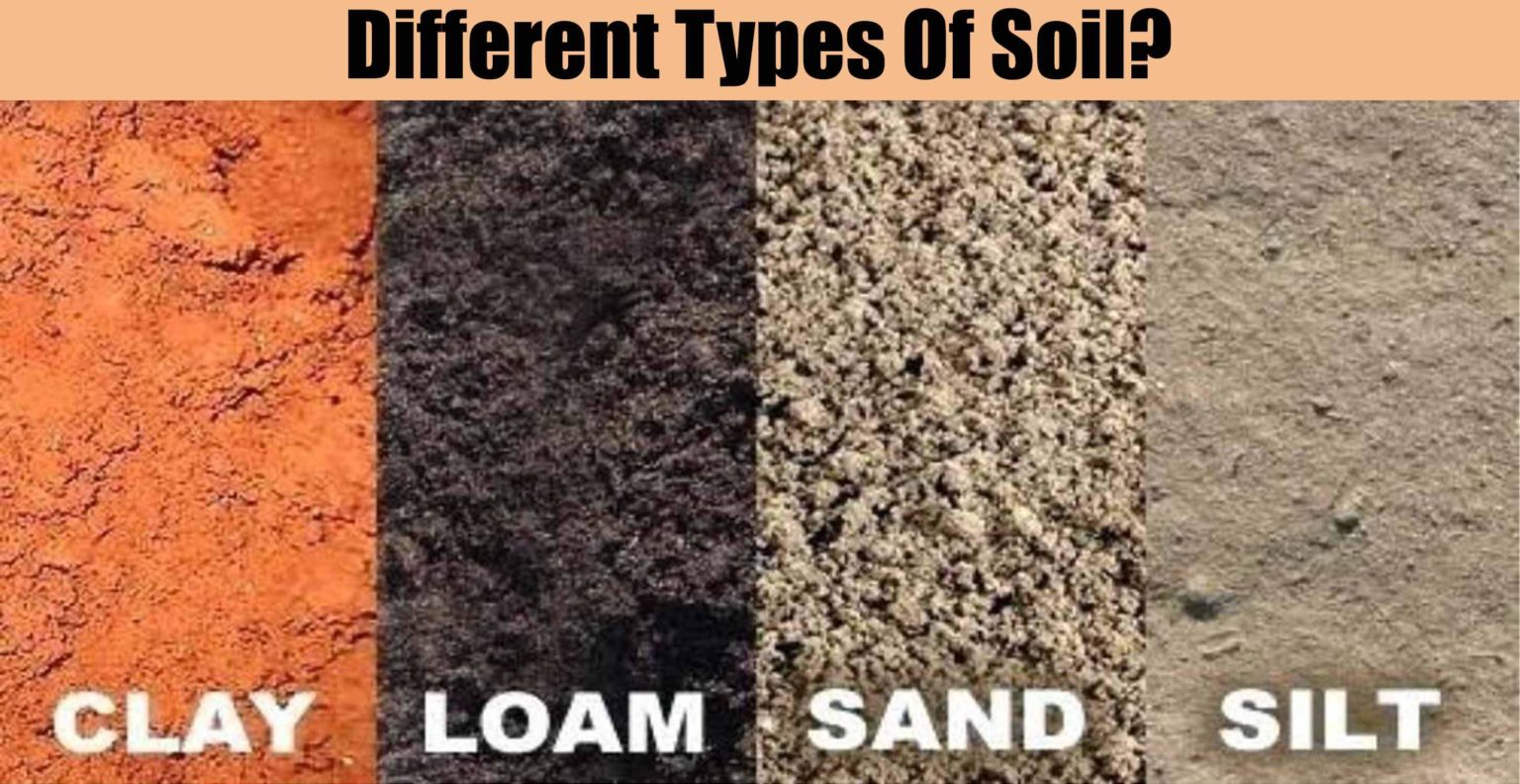 Soil: Meaning, Types, Composition and Properties of Soil - ClassNotes.ng