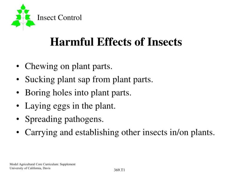 Insects: Damages Caused By Harmful Insects II - ClassNotes.ng