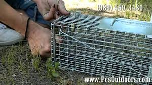 Farmers' Enemies: Methods Of Controlling Rodents, Birds And Crabs I ...