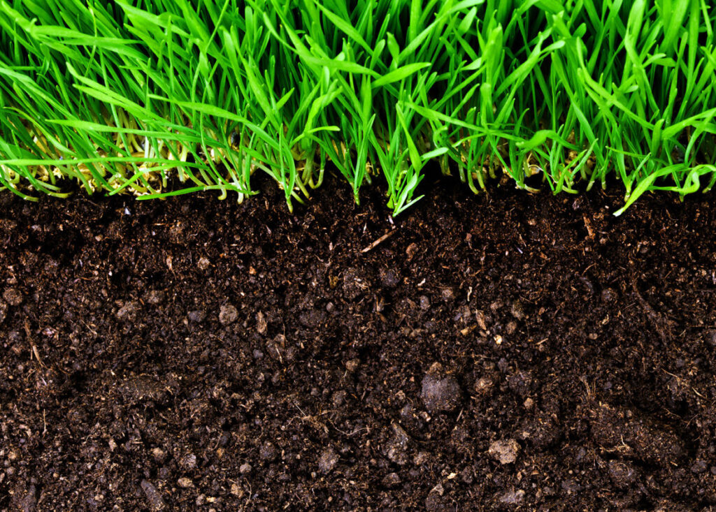 Soil and the Importance - ClassNotes.ng