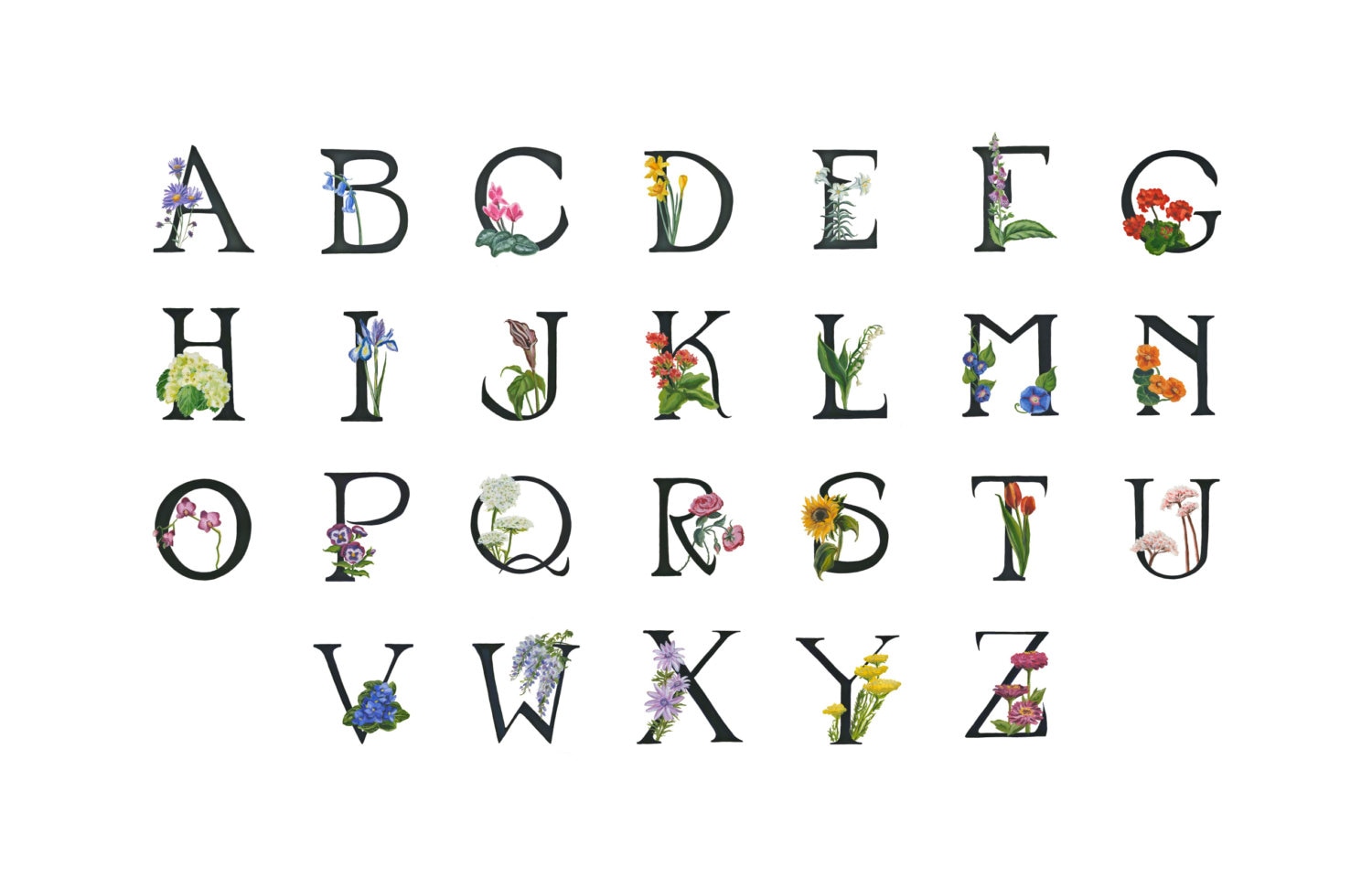 Phonics | Name and Sounds of Letters - ClassNotes.ng