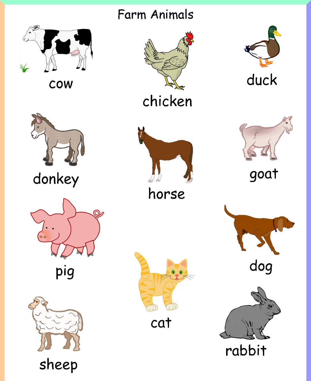 Identification of Colours and Animals - Class Notes