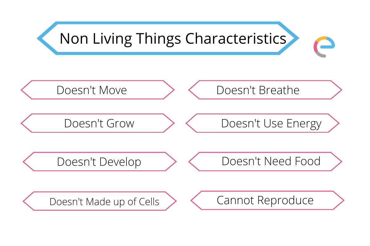 Characteristics of Non-Living Things - Class Notes