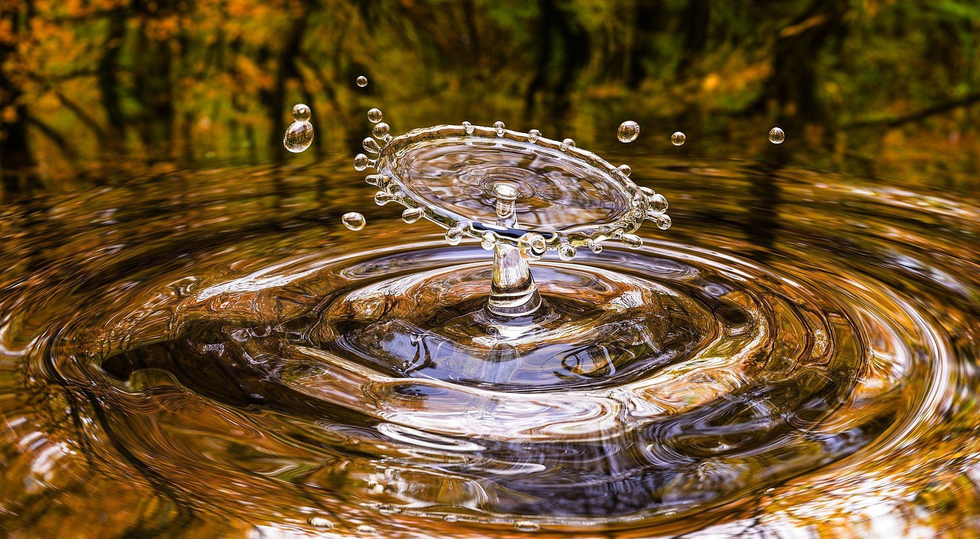 Ways of Purifying Water - Class Notes