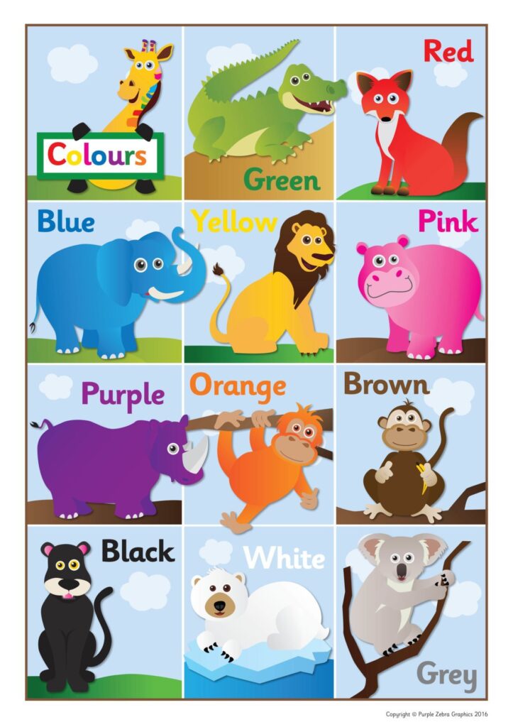 Identification of Colours and Animals - Class Notes