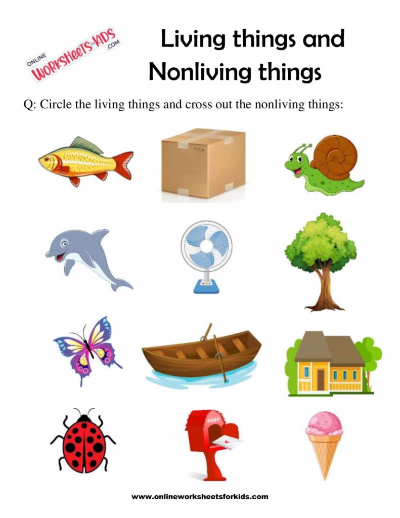 Non-living Things - Class Notes