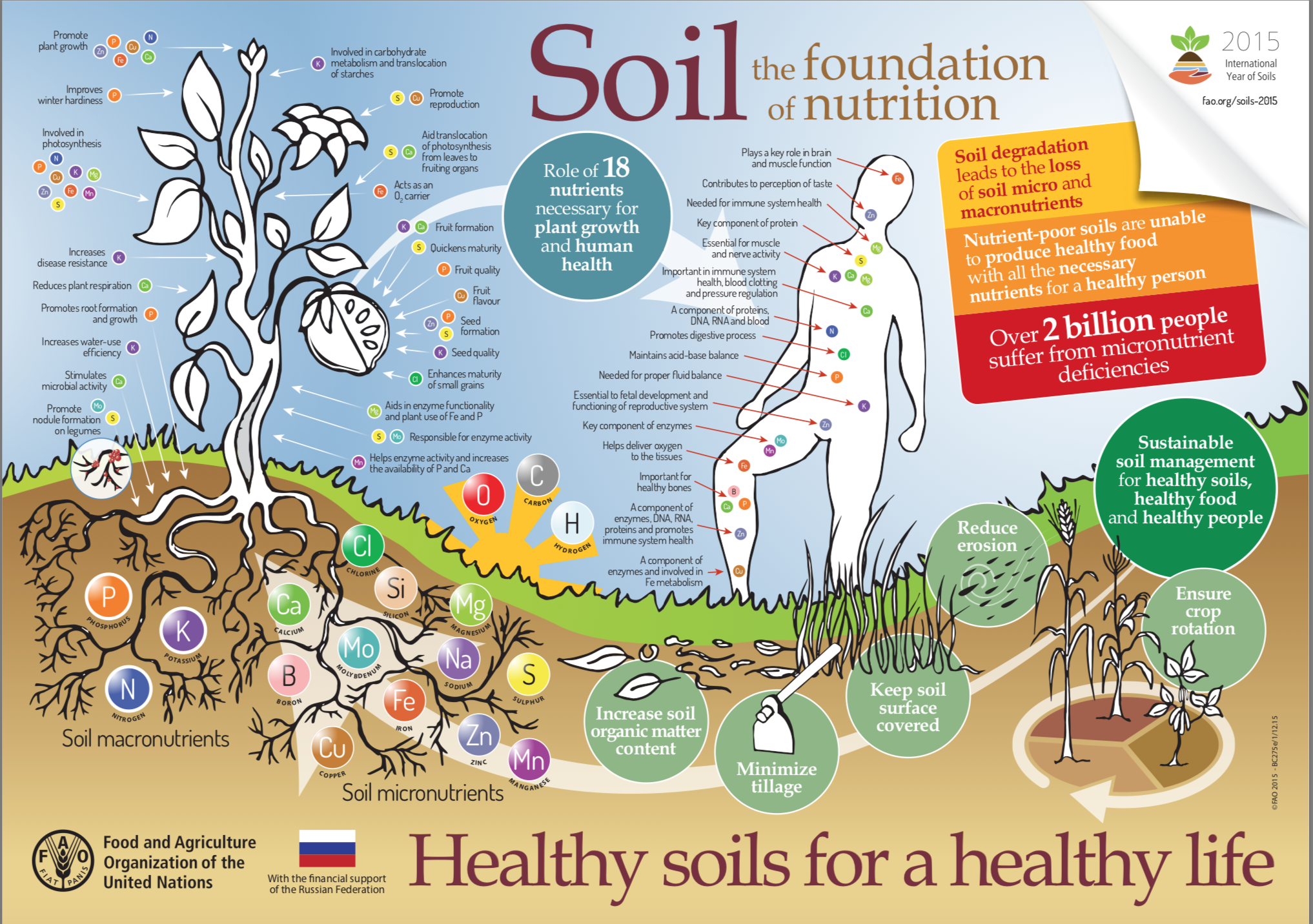 Importance of Soil - Class Notes