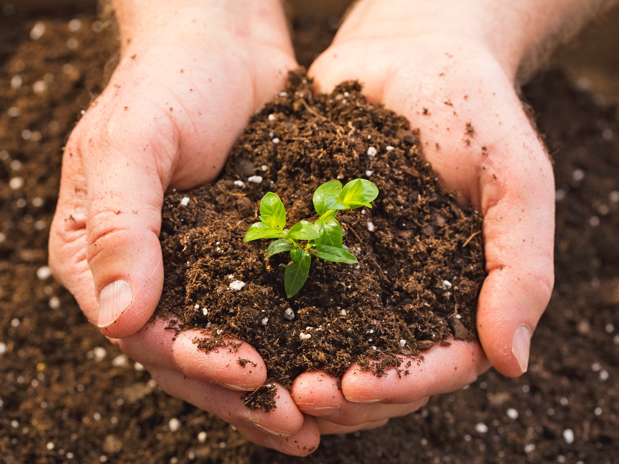 Importance of Soil - Class Notes