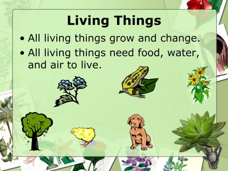 Living Things in the Classroom, School, and Home - Class Notes