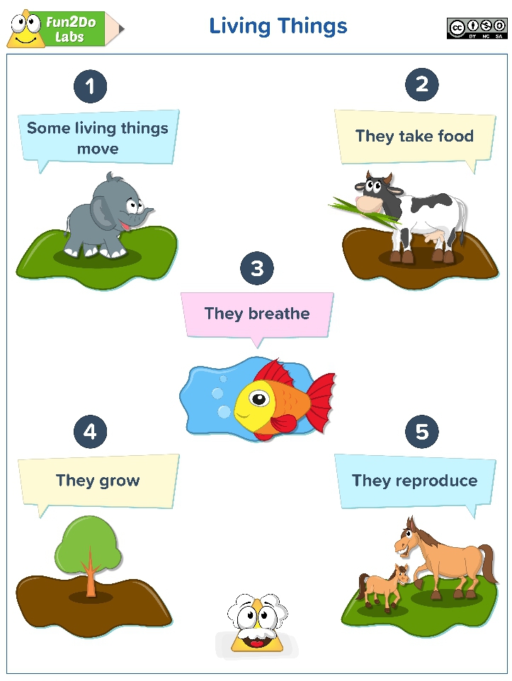 Observation and Identification of Things in and Around the Classroom ...