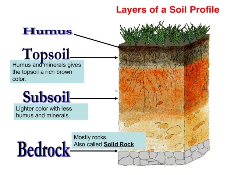 Soil as Part of Our Surroundings and the Meaning of Soil - Class Notes