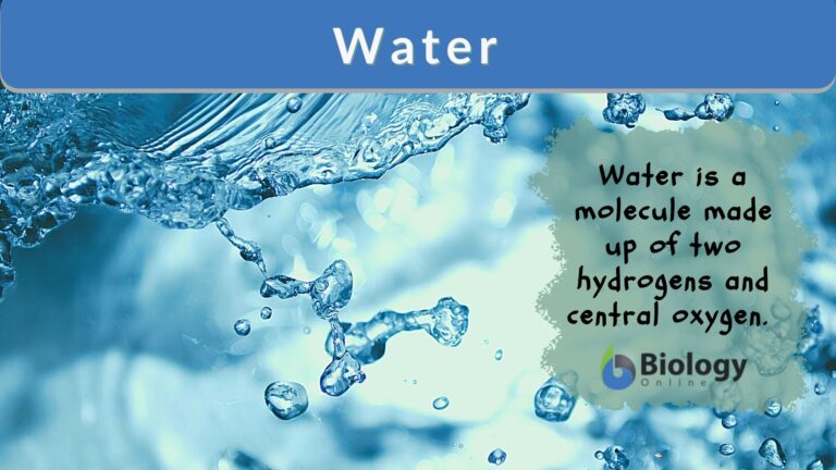 Meaning, and Sources of Water - Class Notes