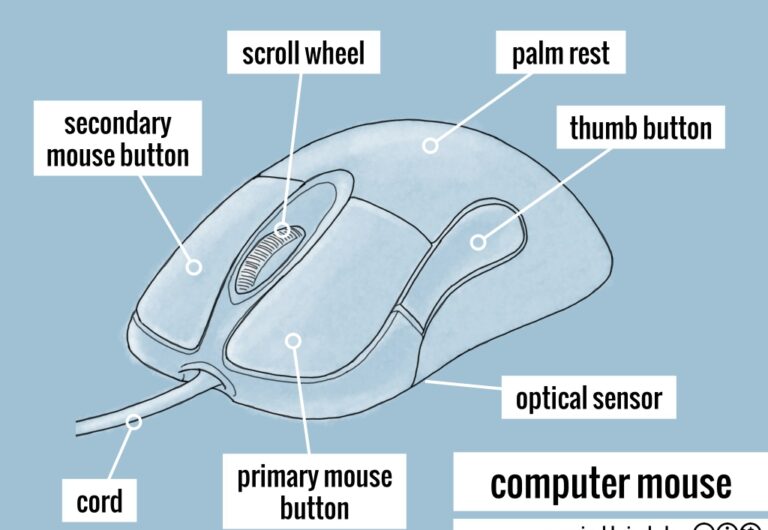 Features of Computer Mouse - Class Notes
