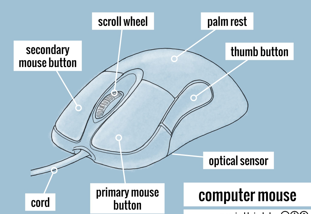 Features of Computer Mouse - ClassNotes.ng Features of Computer Mouse - ClassNotes.ng