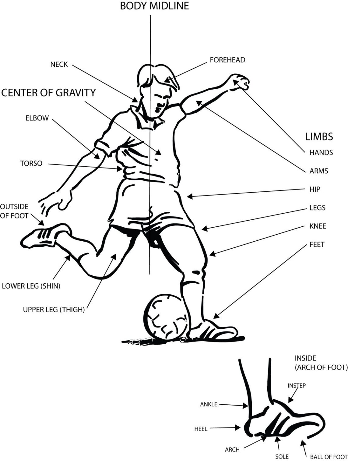 Movement of Our Body - Shooting, Heading, Bending, and Stretching ...