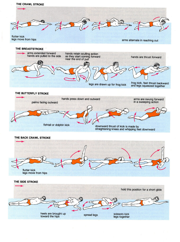 Swimming - Demonstration of Preliminary Skills in Swimming - ClassNotes.ng