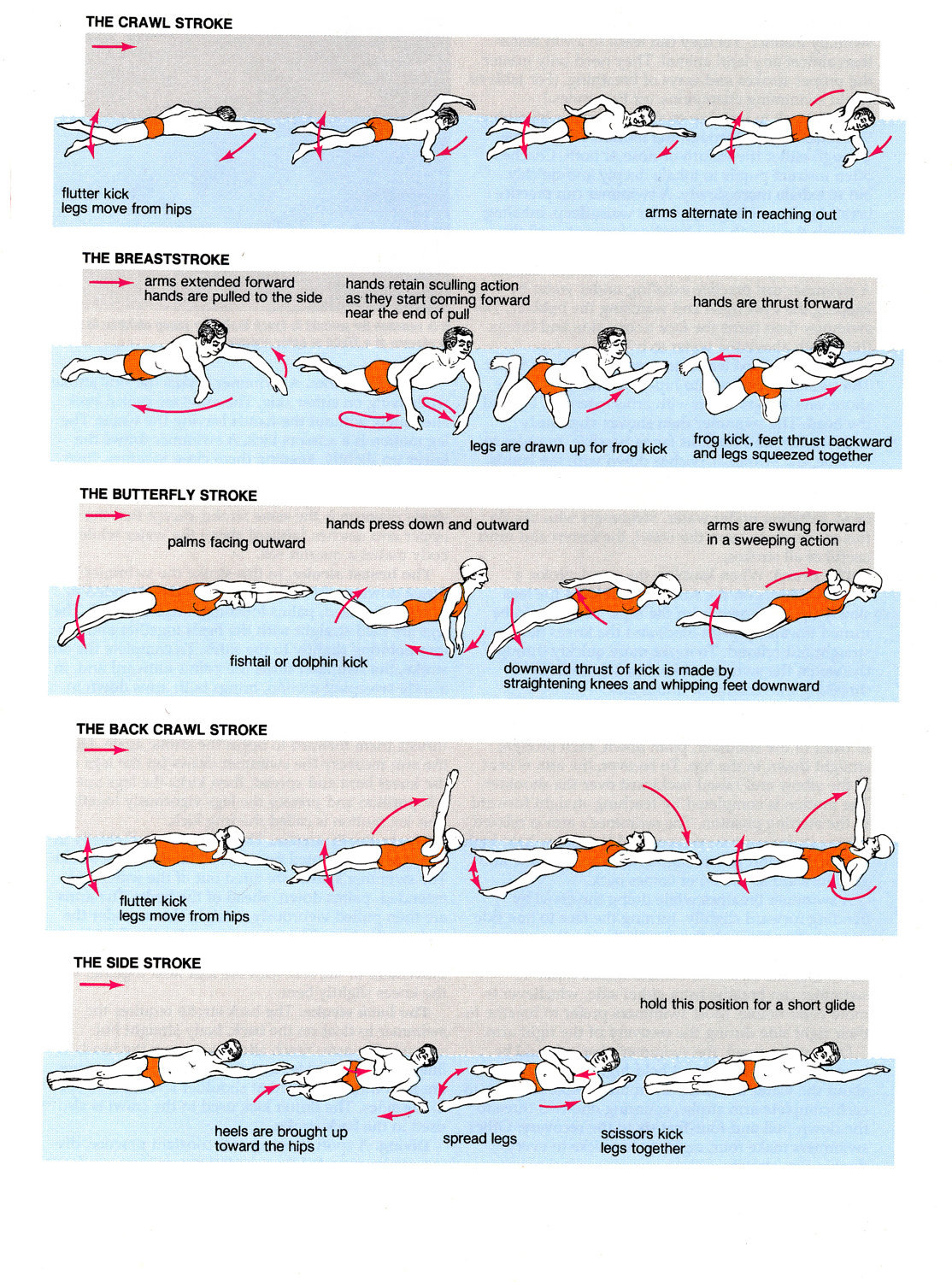 Swimming - Demonstration of Preliminary Skills in Swimming - ClassNotes.ng