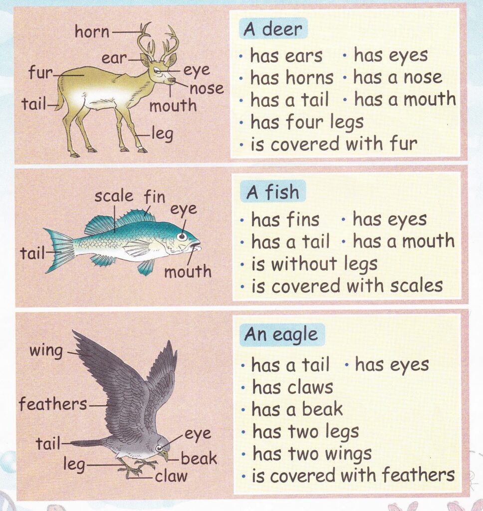 Animals | identifying Animal Traits - ClassNotes.ng