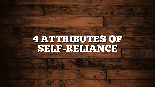 Attributes of Self Reliance - ClassNotes.ng