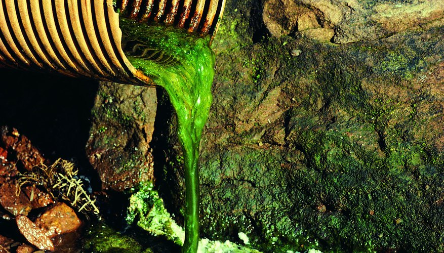 Meaning and Causes of Chemical Pollution - Class Notes