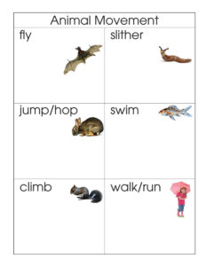 Moving our Body Parts - Different movements patterns made by animals ...