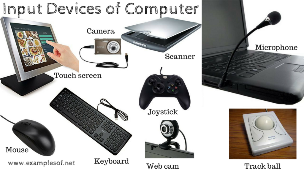 Explaining Input Devices - Class Notes