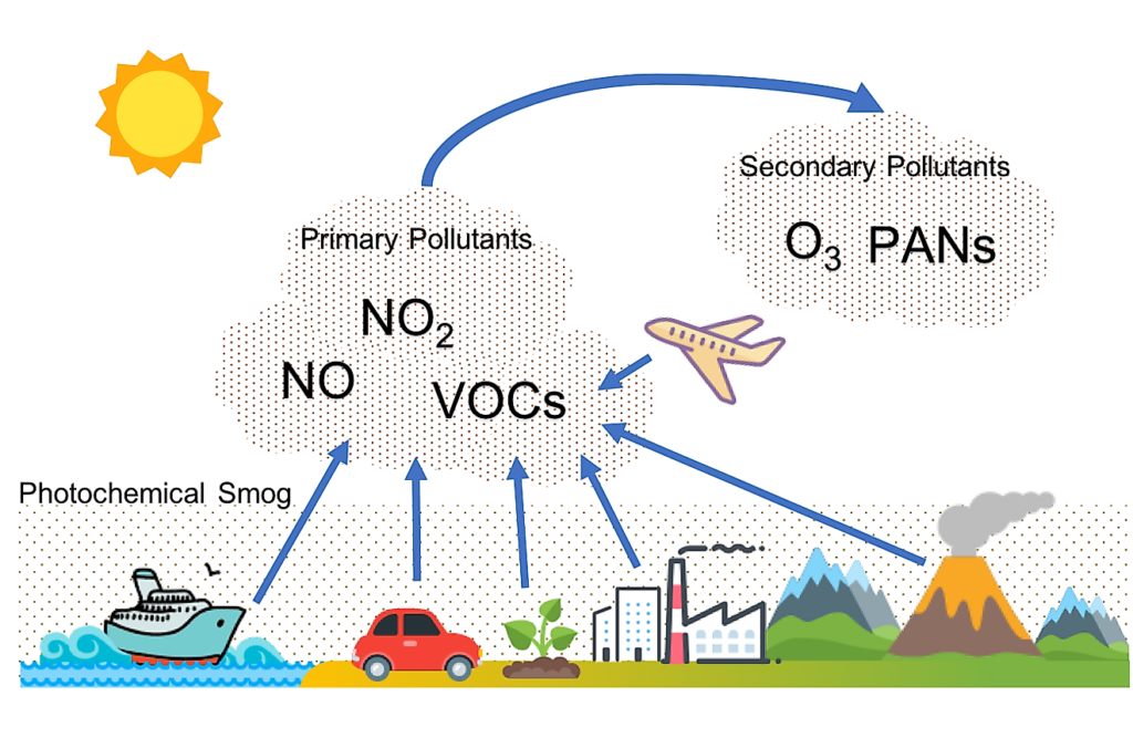 Meaning and Causes of Chemical Pollution - Class Notes