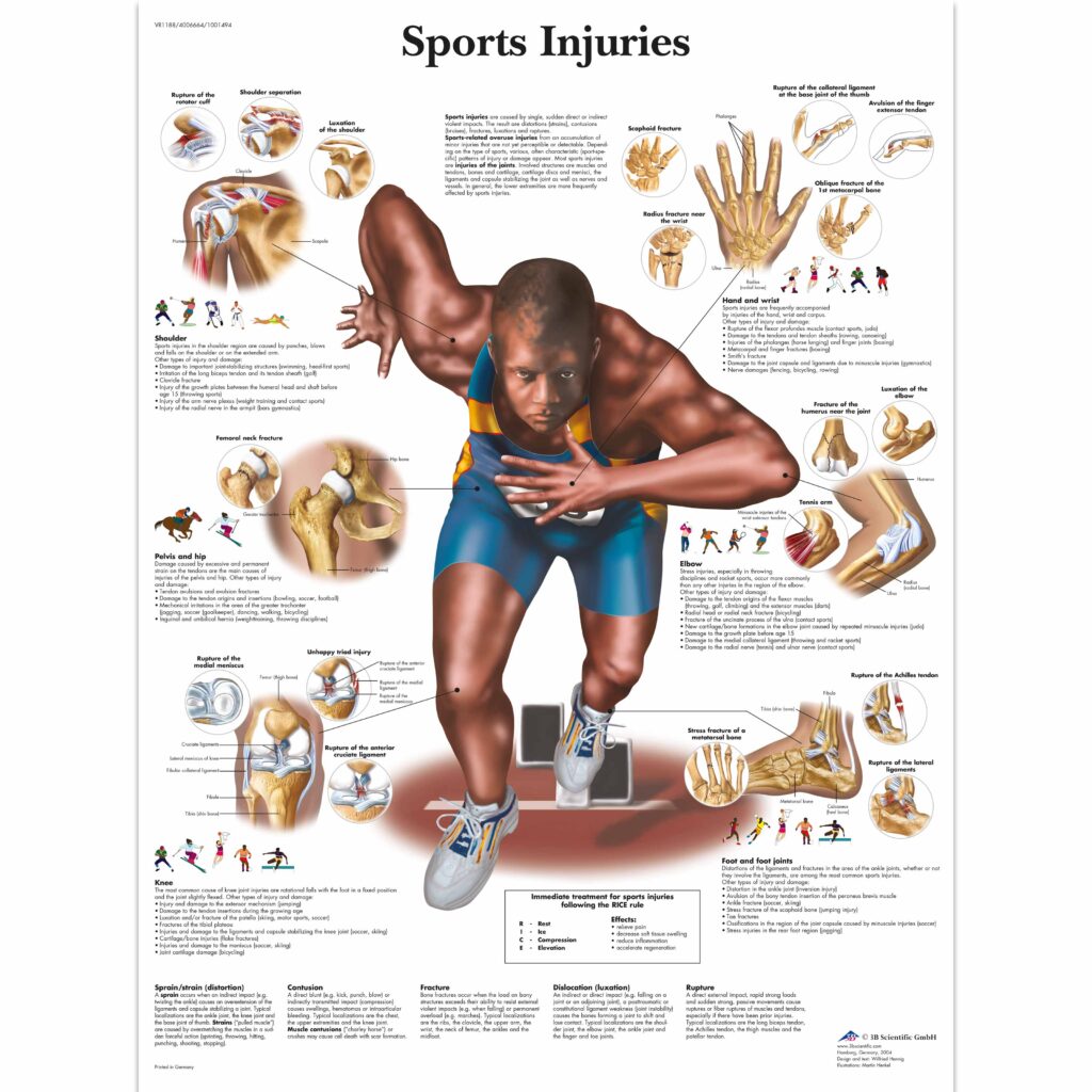 Types of Sport Injuries Continued - Class Notes