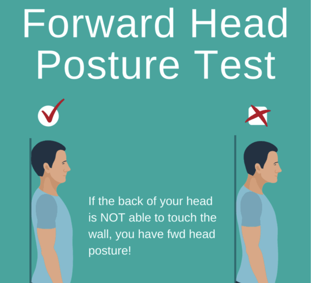 Characteristics of Good Postures - Class Notes