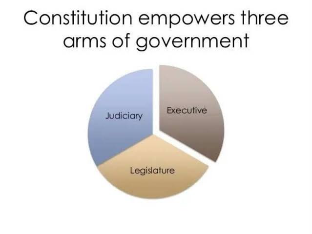 Functions of The Arms of Government - Class Notes