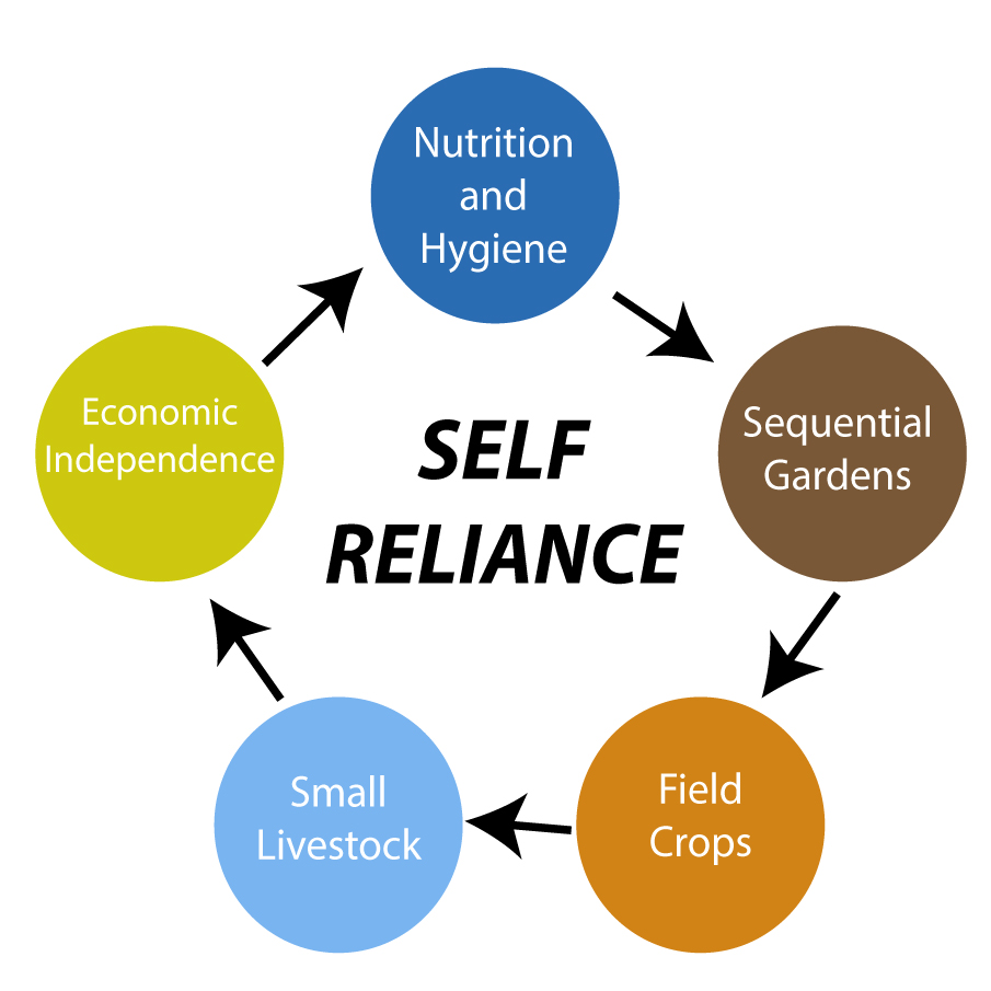 National Values: Self Reliance - ClassNotes.ng