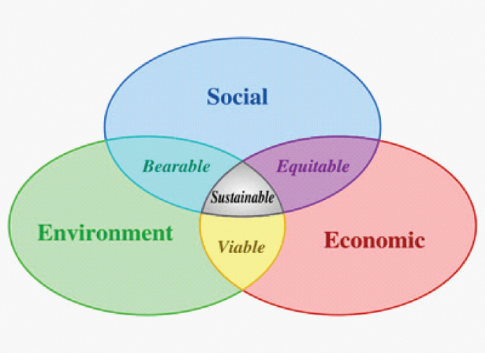 The Social Environment - Class Notes