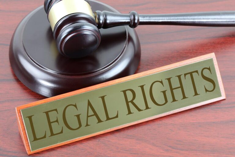 Protection of Human Rights and the Rule of Law - Class Notes