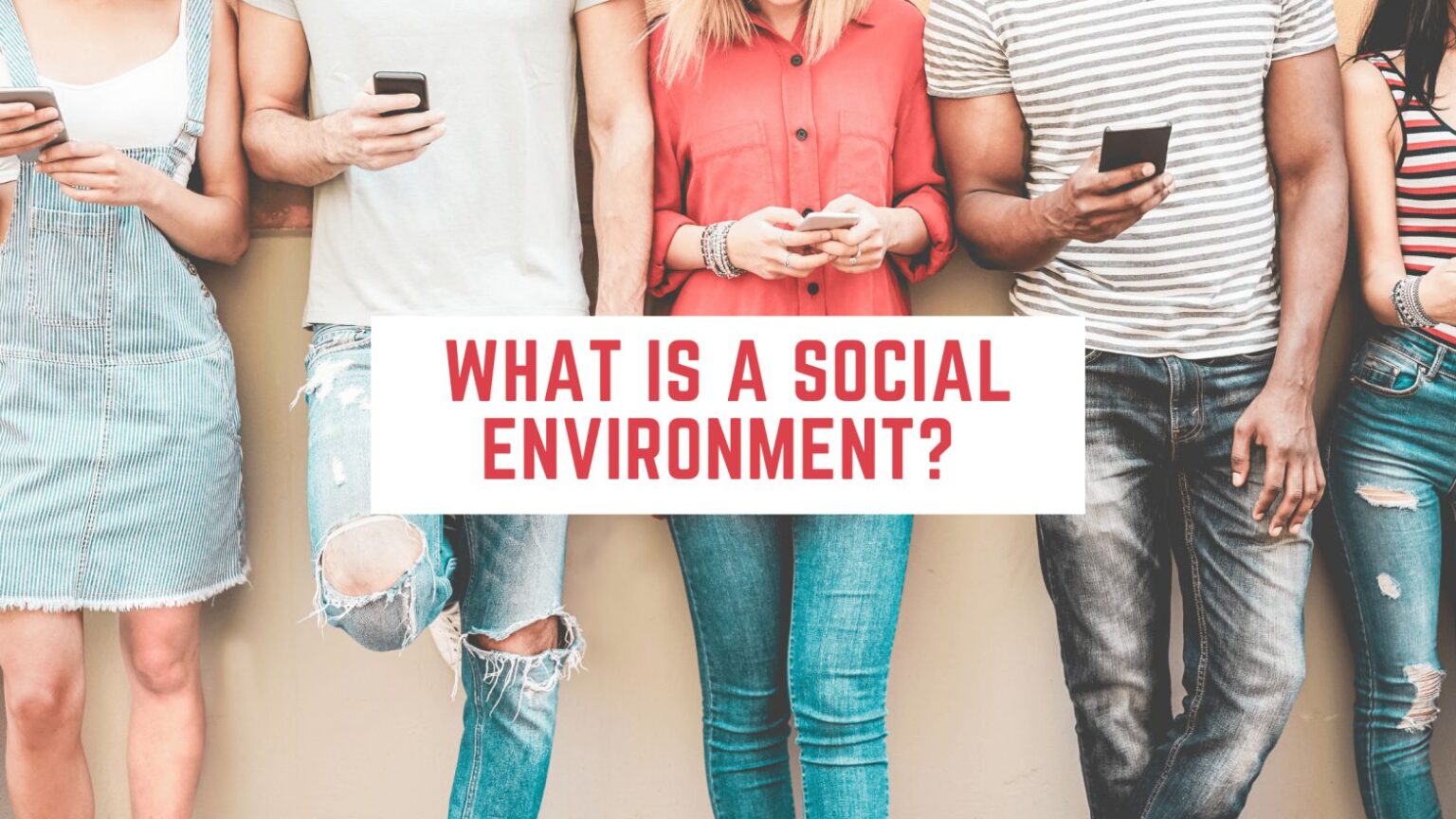 The Social Environment - ClassNotes.ng