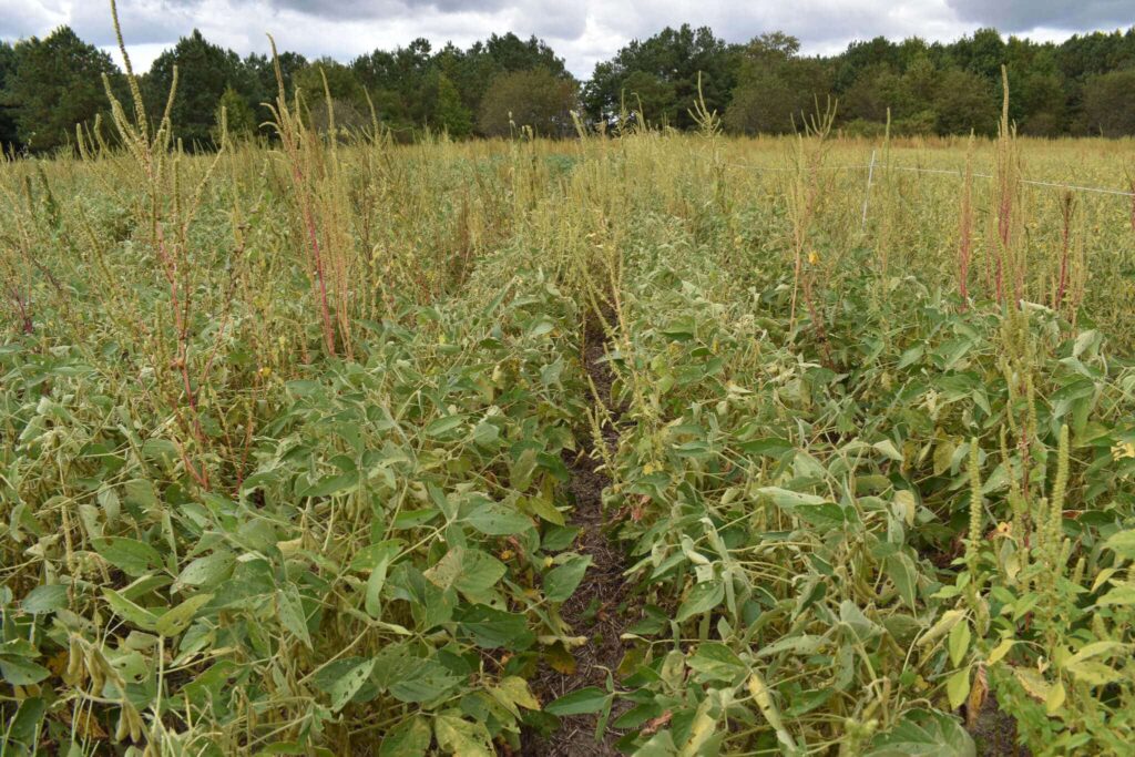 Methods of Weed Control - ClassNotes.ng