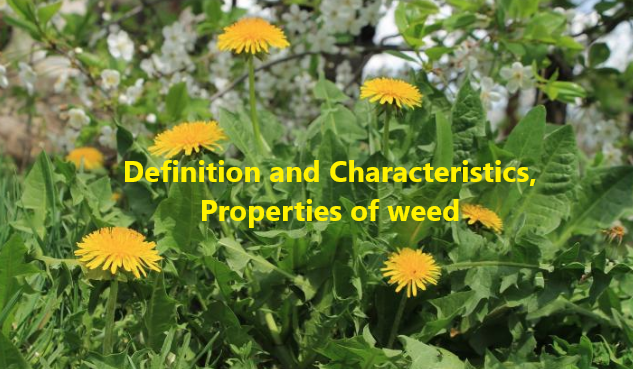Characteristics of Weeds - ClassNotes.ng