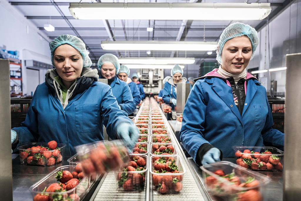 Meaning of Food Purchasing, Processing and Preservation - ClassNotes.ng