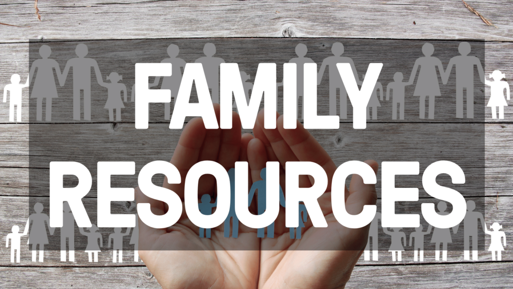 Meaning and Types of Family Resources - ClassNotes.ng