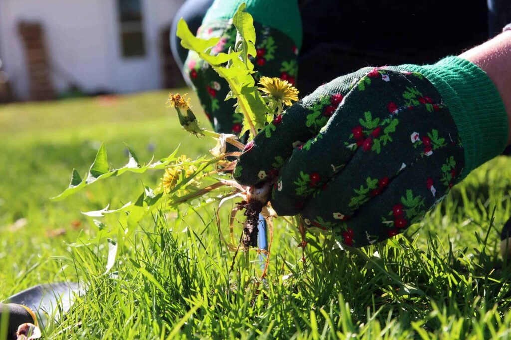 Methods of Weed Control - Class Notes