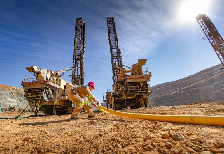 Human Activities that Affect the Forest - ClassNotes.ng