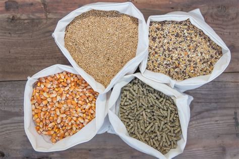 Meaning and Types of Feeds - Class Notes