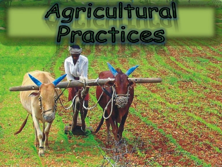 Importance of Agriculture in Society - Class Notes