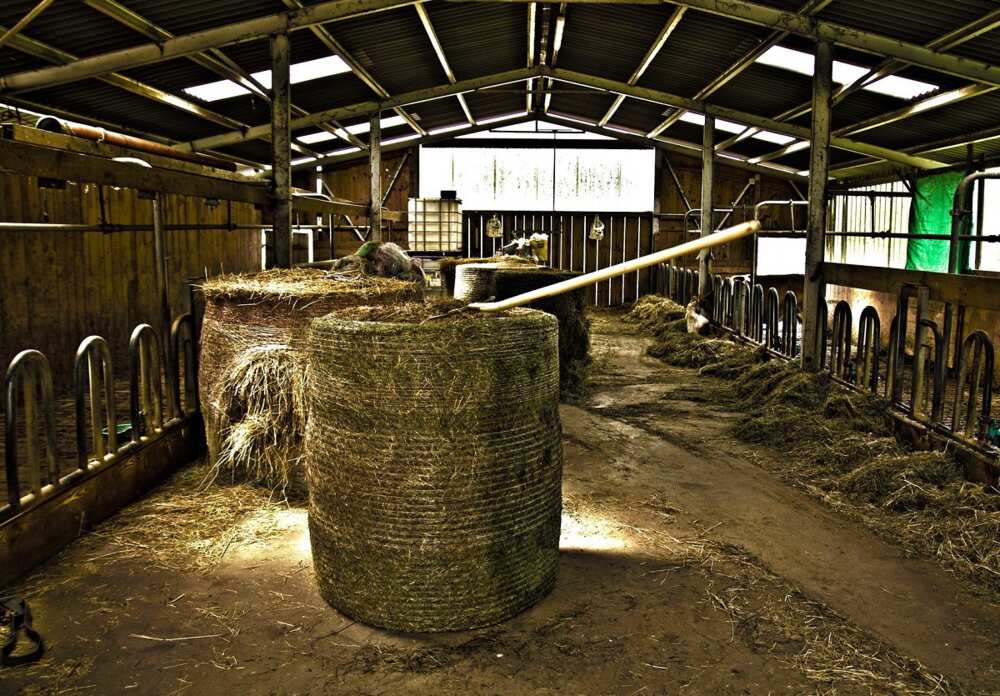 Maintenance of Farm Structures and Buildings - Class Notes